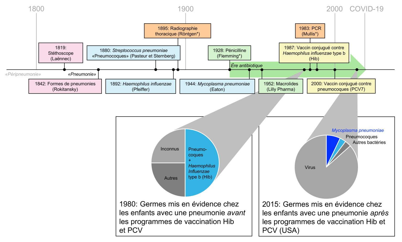 Diagnostic et traitement de la pneumonie pendant l’enfance et l ...